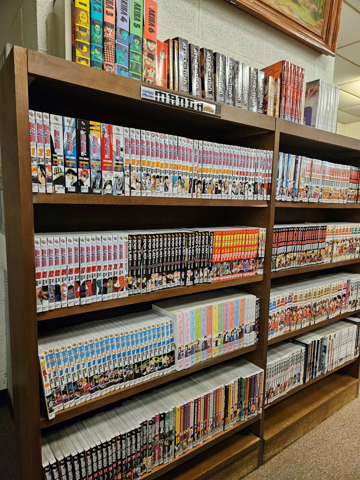 New Mexico Library Foundation Development Grant Project: a modest manga ...