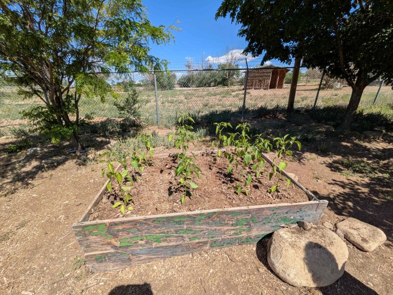 Summer Reading Kicks Off in Talpa - New Mexico State Library